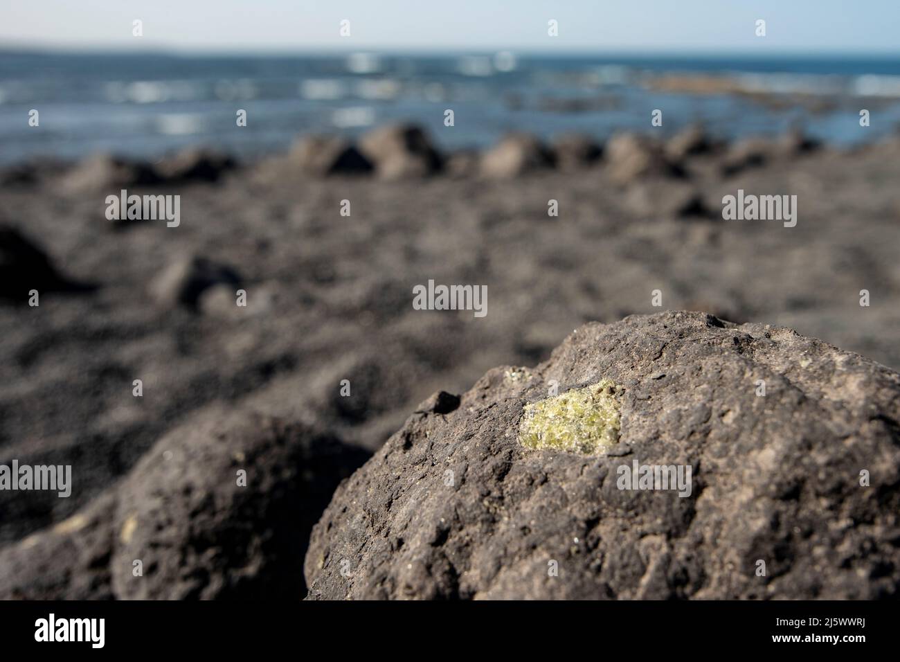 How a fossil is formed hi-res stock photography and images - Alamy