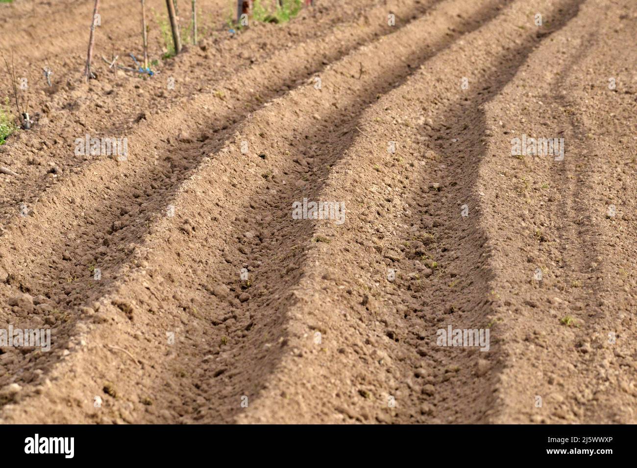 field prepared for planting ,spring theme Stock Photo - Alamy