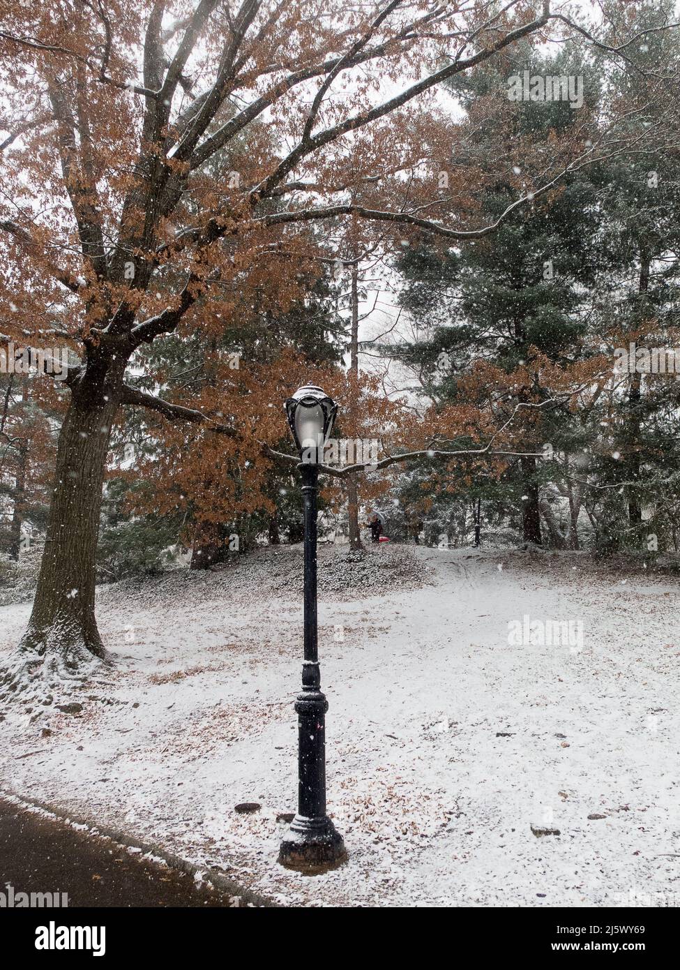 Central Park in Snow at Christmas time after a winter storm. New York ...