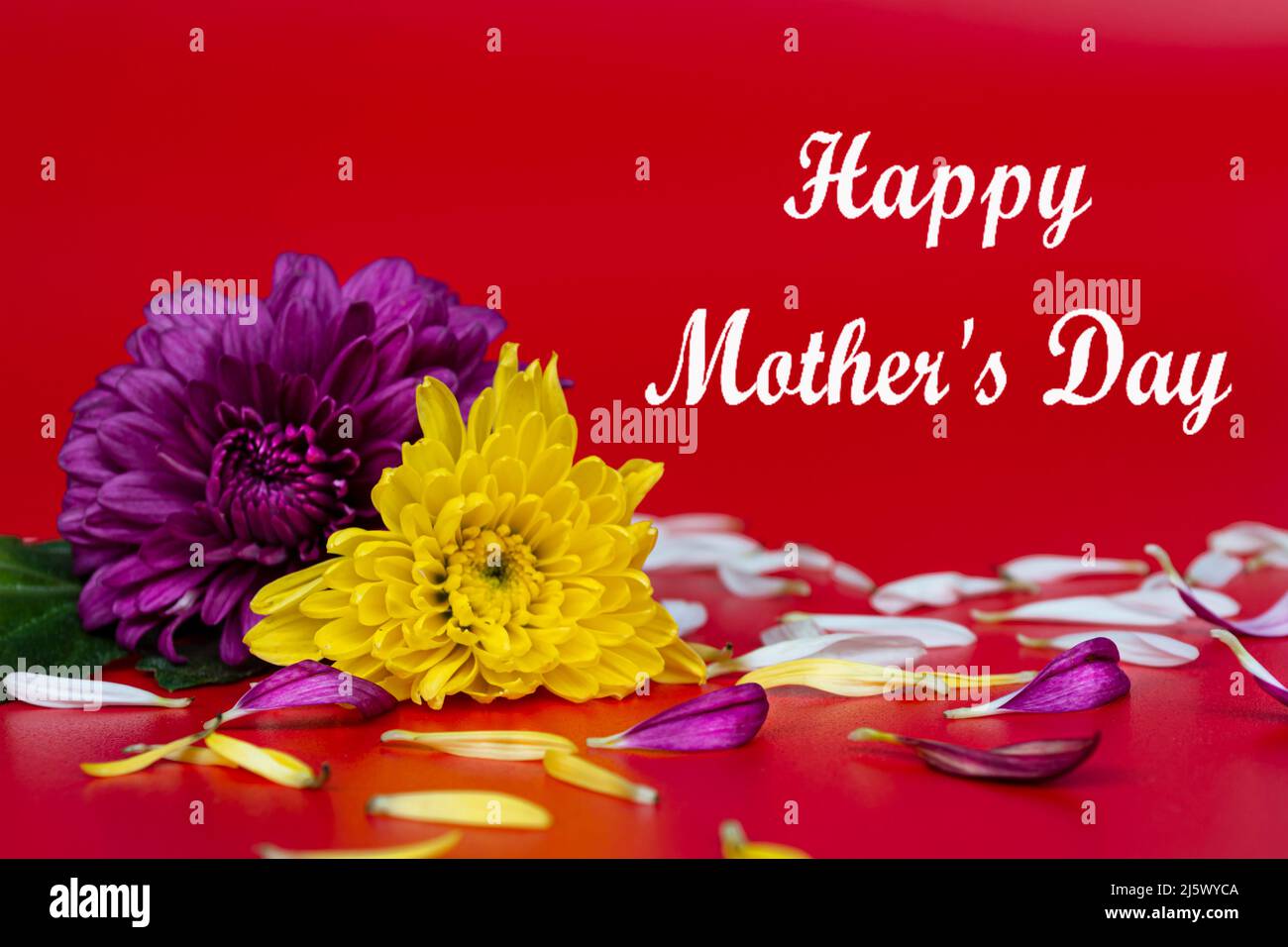 Happy mothers day text hi-res stock photography and images - Alamy