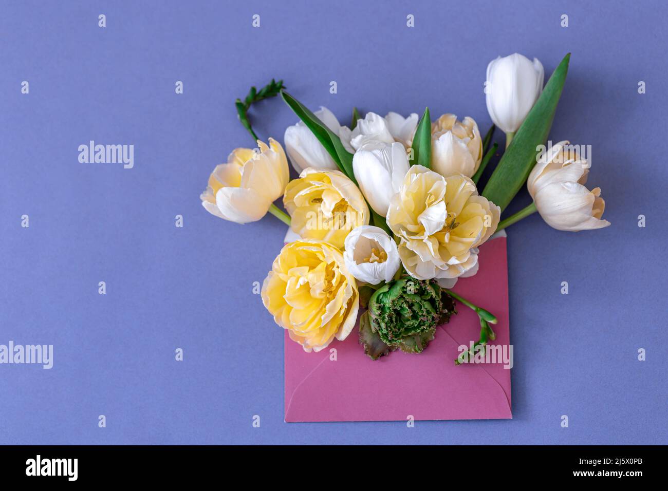 Flowers in an envelope on a colored background, flat lay Stock Photo ...