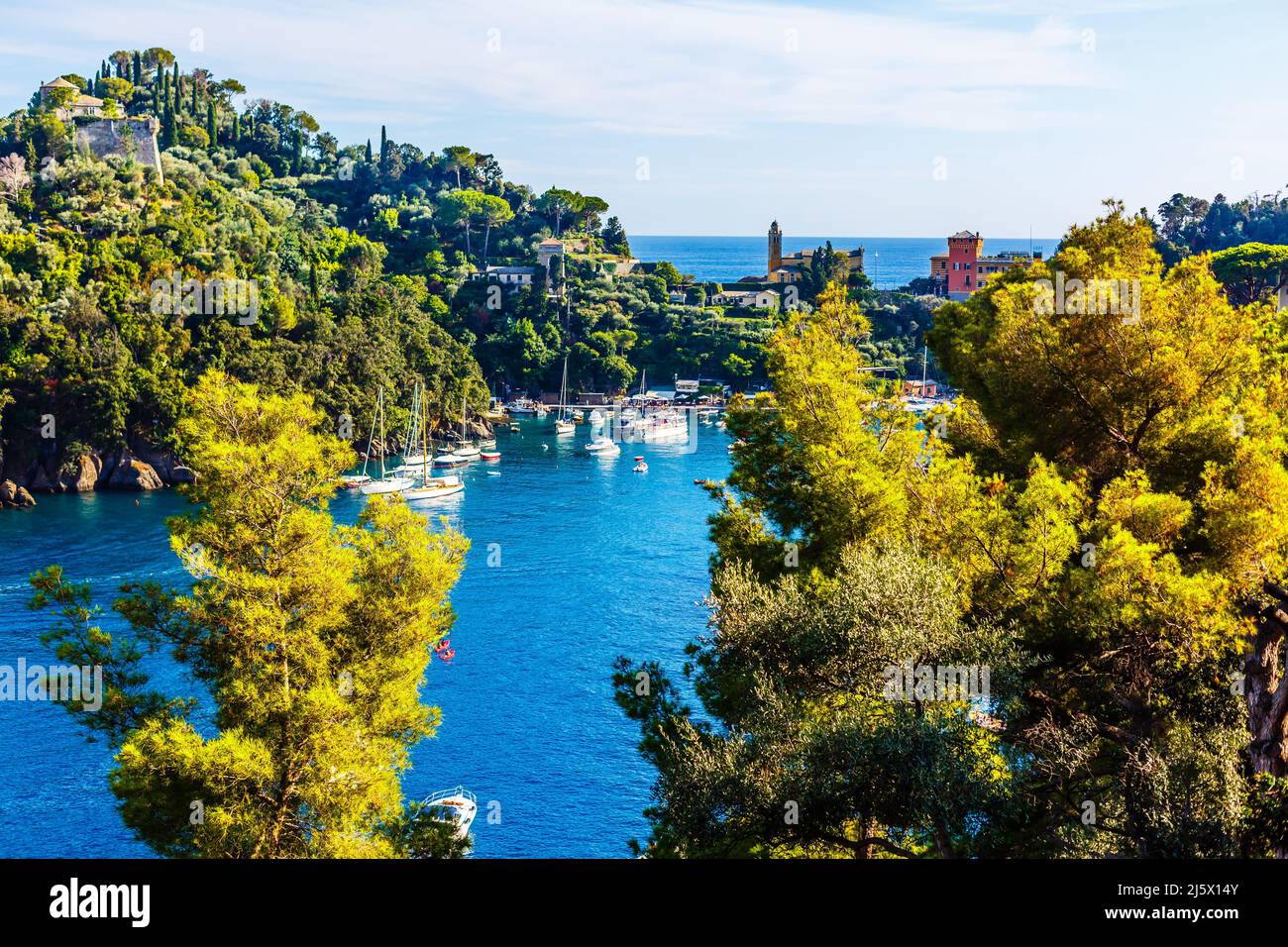 Fishing boats moored on water in harbor of Ligurian and Mediterranean ...