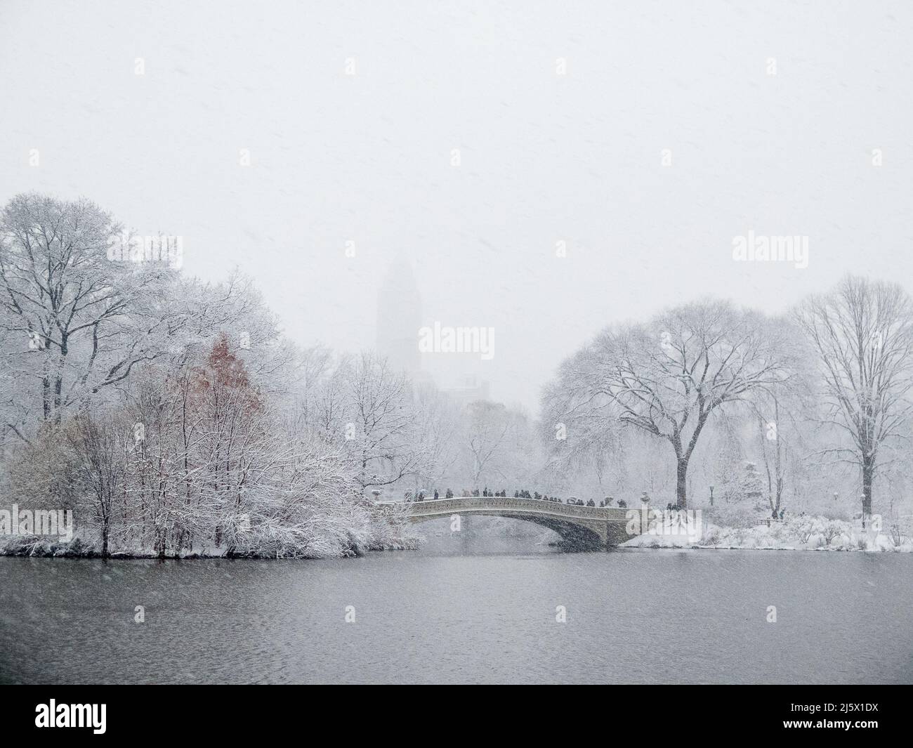 Central Park in Snow at Christmas time after a winter storm. New York ...