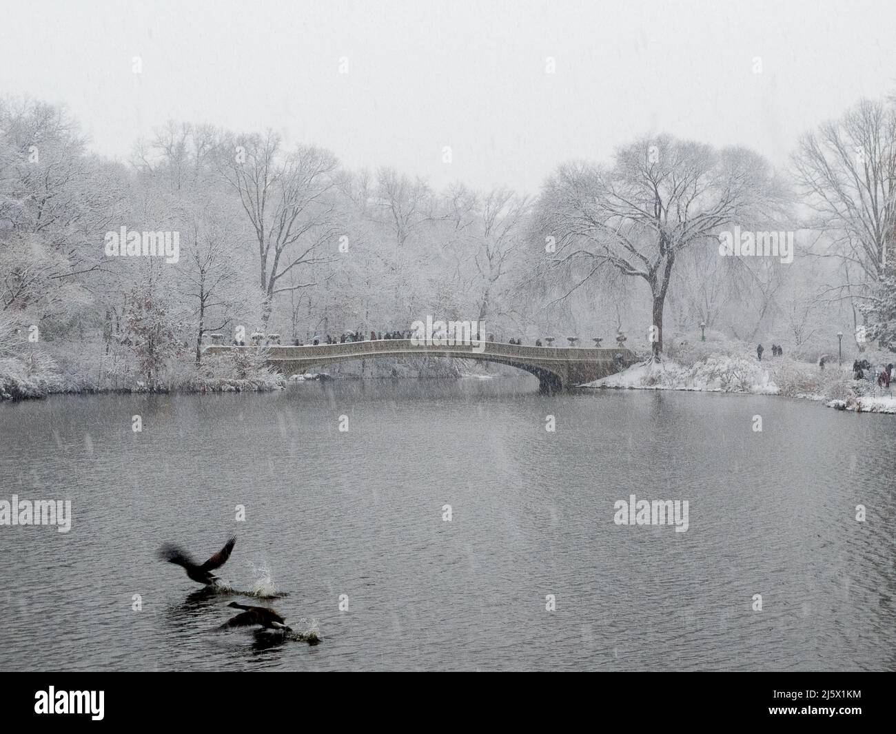 Central Park in Snow at Christmas time after a winter storm. New York ...
