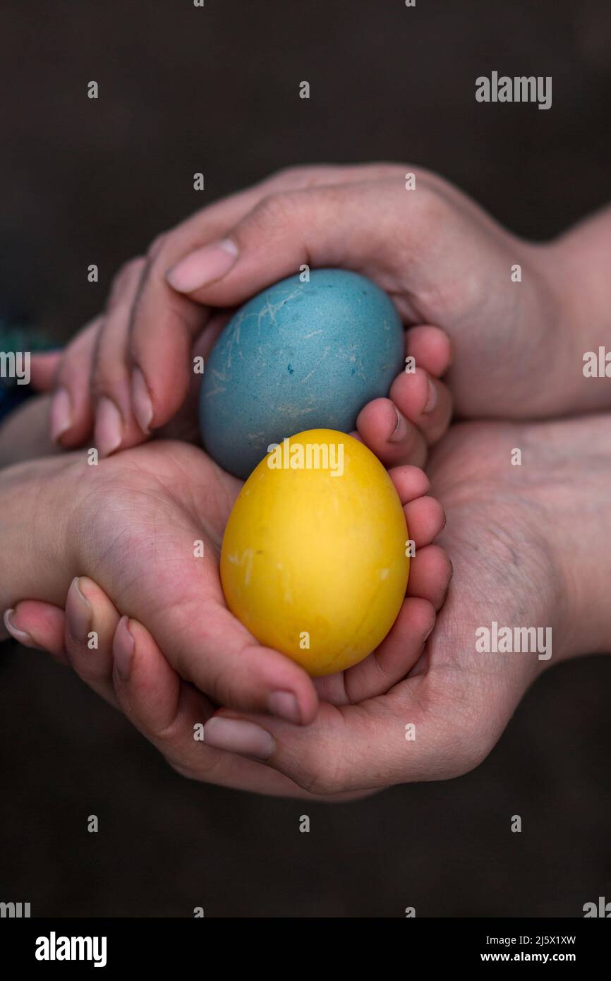 2 Painted eggs for Easter in the colors of the flag of Ukraine in the ...