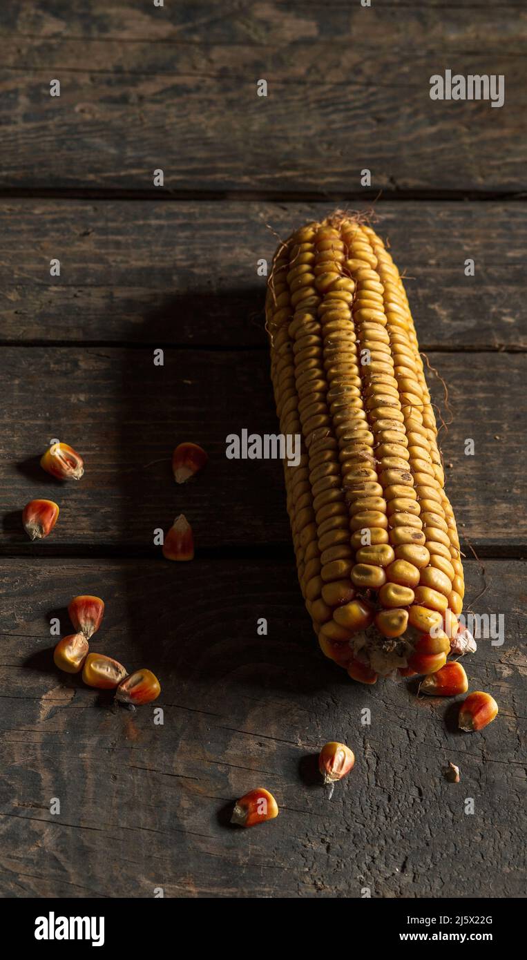 Dried corn on a wooden table texture. Head of corn. Food. Close. Yellow ...