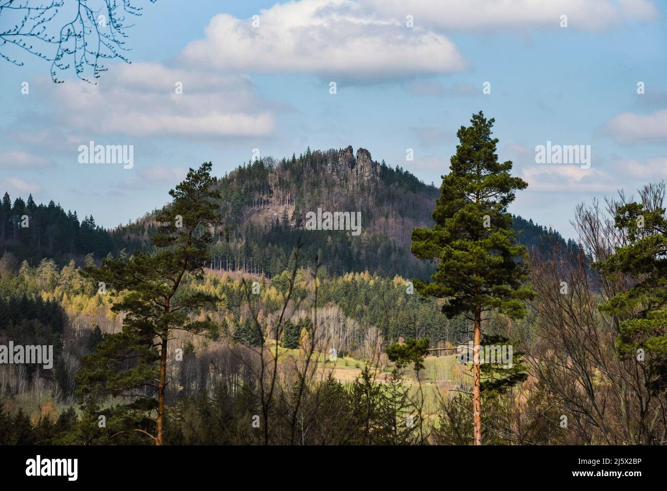 Landscape of Sokoliki mountains in Poland Stock Photo - Alamy