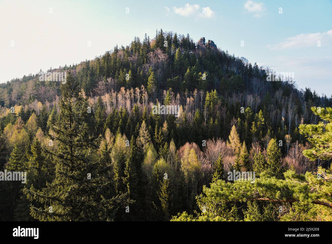 Landscape of Sokoliki mountains in Poland Stock Photo - Alamy