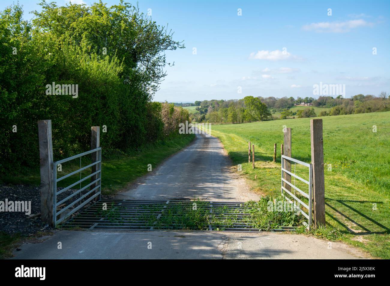 Cattle grids on a country lane. These metal grids prevent animals from ...