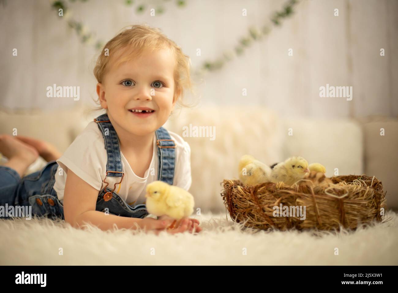 Cute child at home with little newborn chicks, enjoying, cute kid and ...