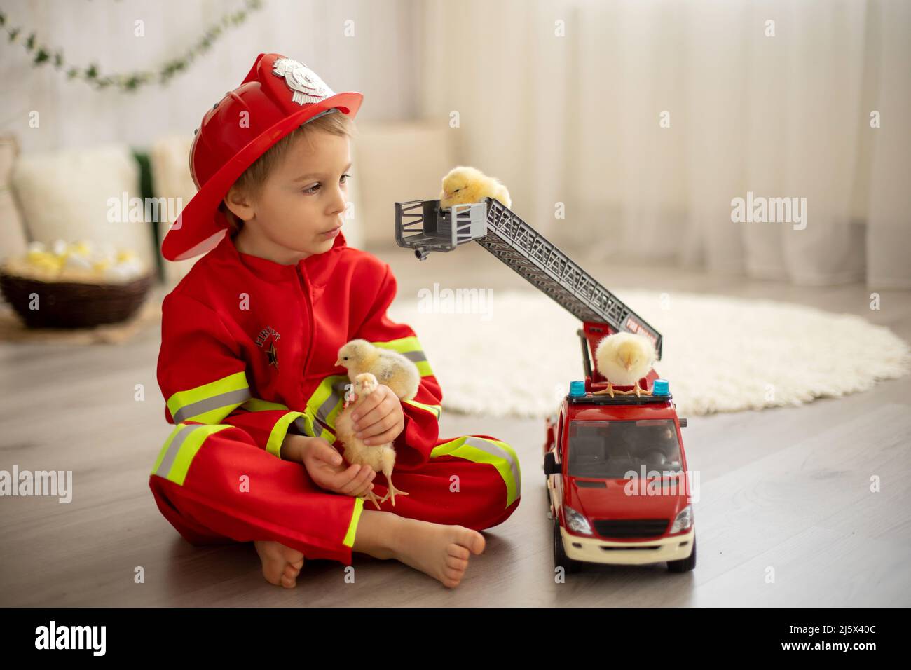 Little toddler child, playing with fire truck car toy and little chicks ...