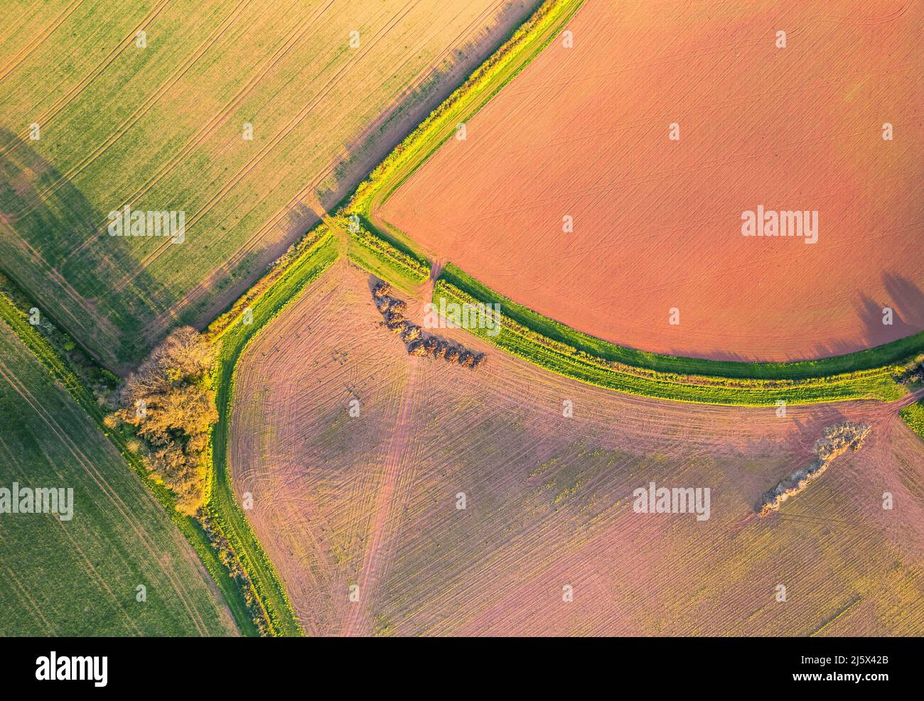 Top Down over Fields and Farmlands, English Village, Devon, England ...