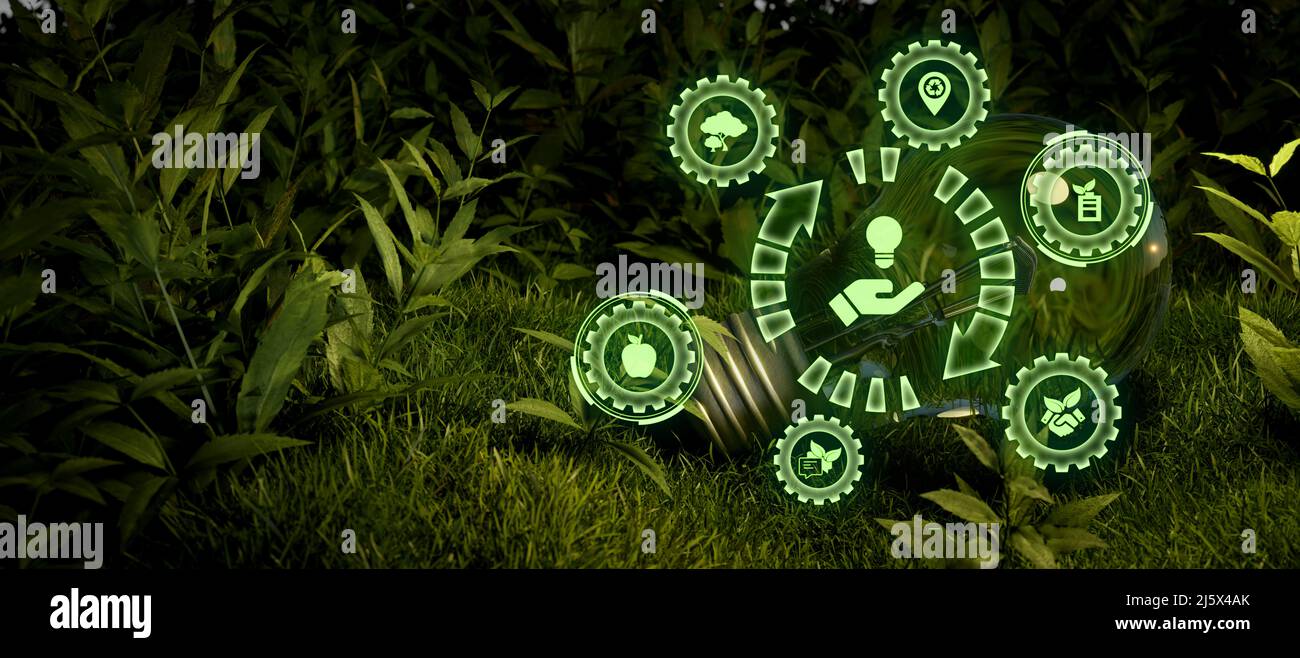 Hand holding plant growing in light bulb. Ecology and Technology ...