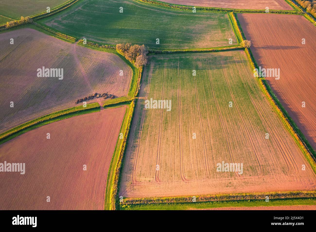 Top Down over Fields and Farmlands, English Village, Devon, England ...