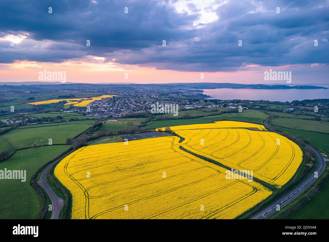 Rapeseed village hi-res stock photography and images - Alamy