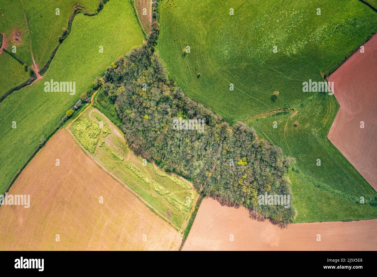 Top Down over Fields and Farmlands, English Village, Devon, England ...