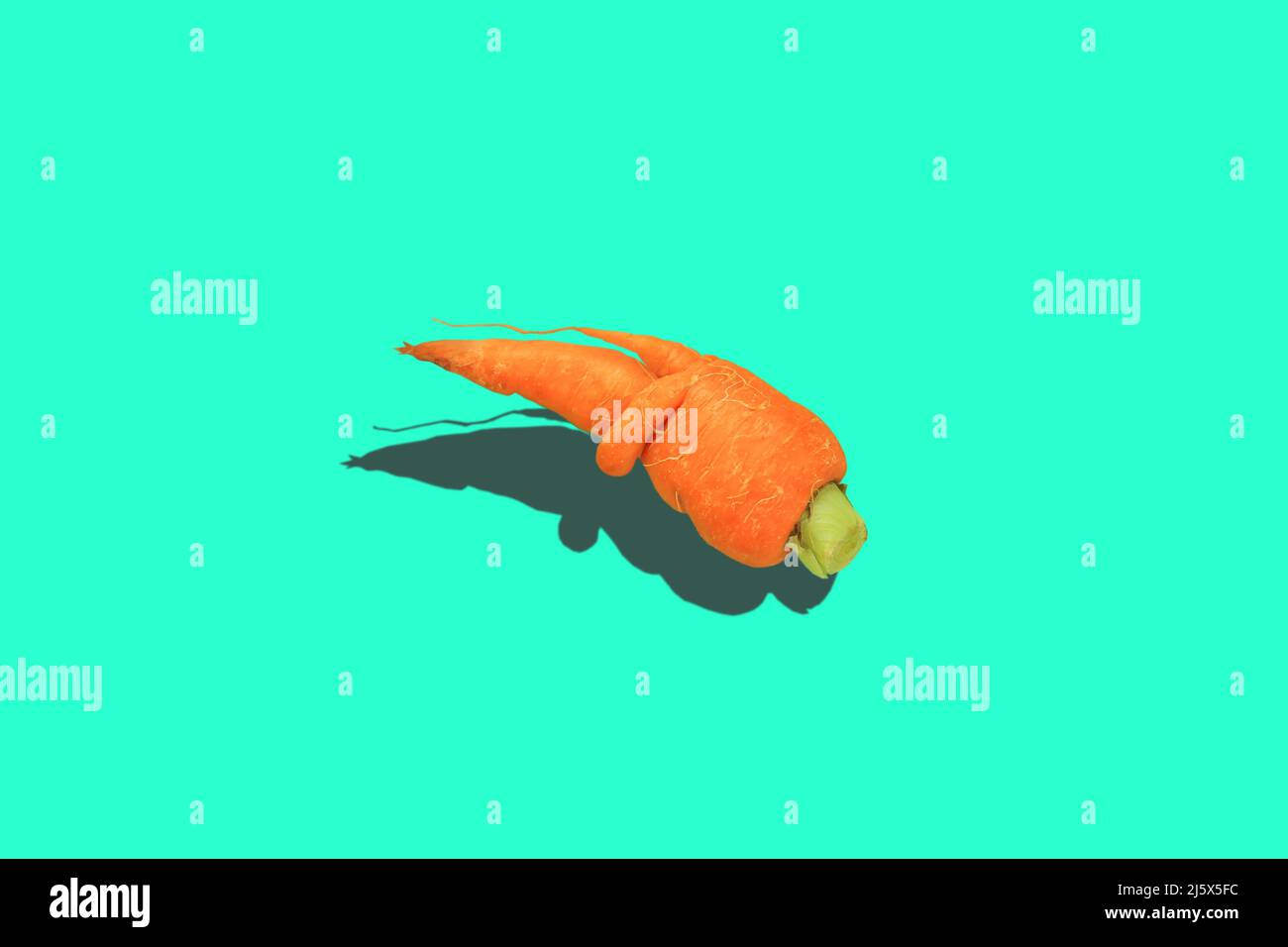 Ugly food. Deformed carrots on trendy aqua turquoise background. Bright ...