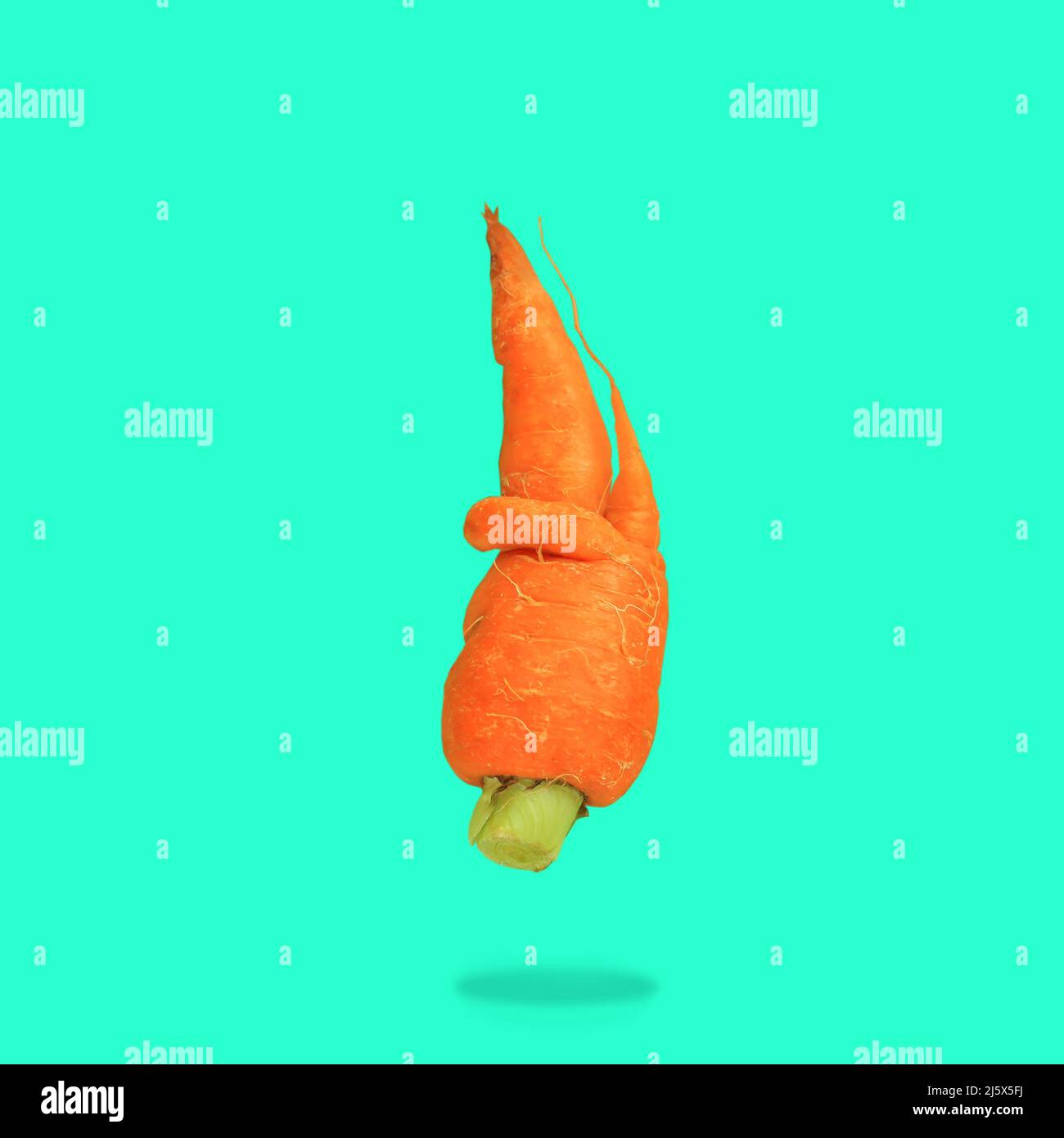 Ugly food. Deformed carrots on trendy aqua turquoise background. Bright ...