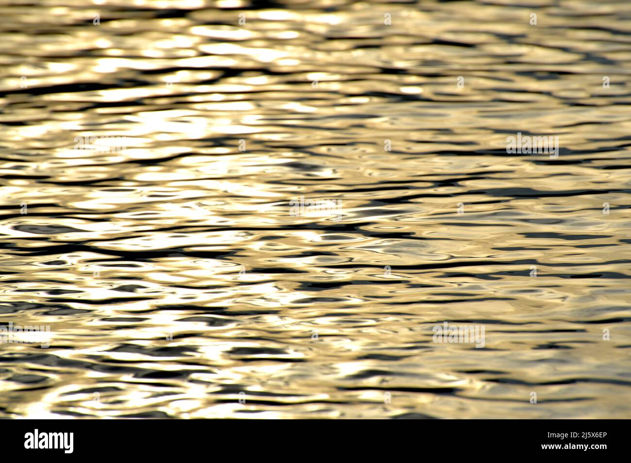 Golden ocean water, photo background. Beautiful summer sea, sunset time ...
