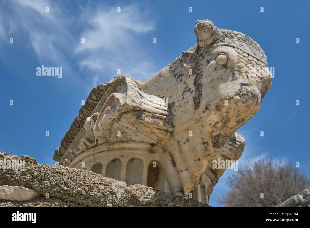 An example of one of the unique bull column cap, top marble carvings in ...