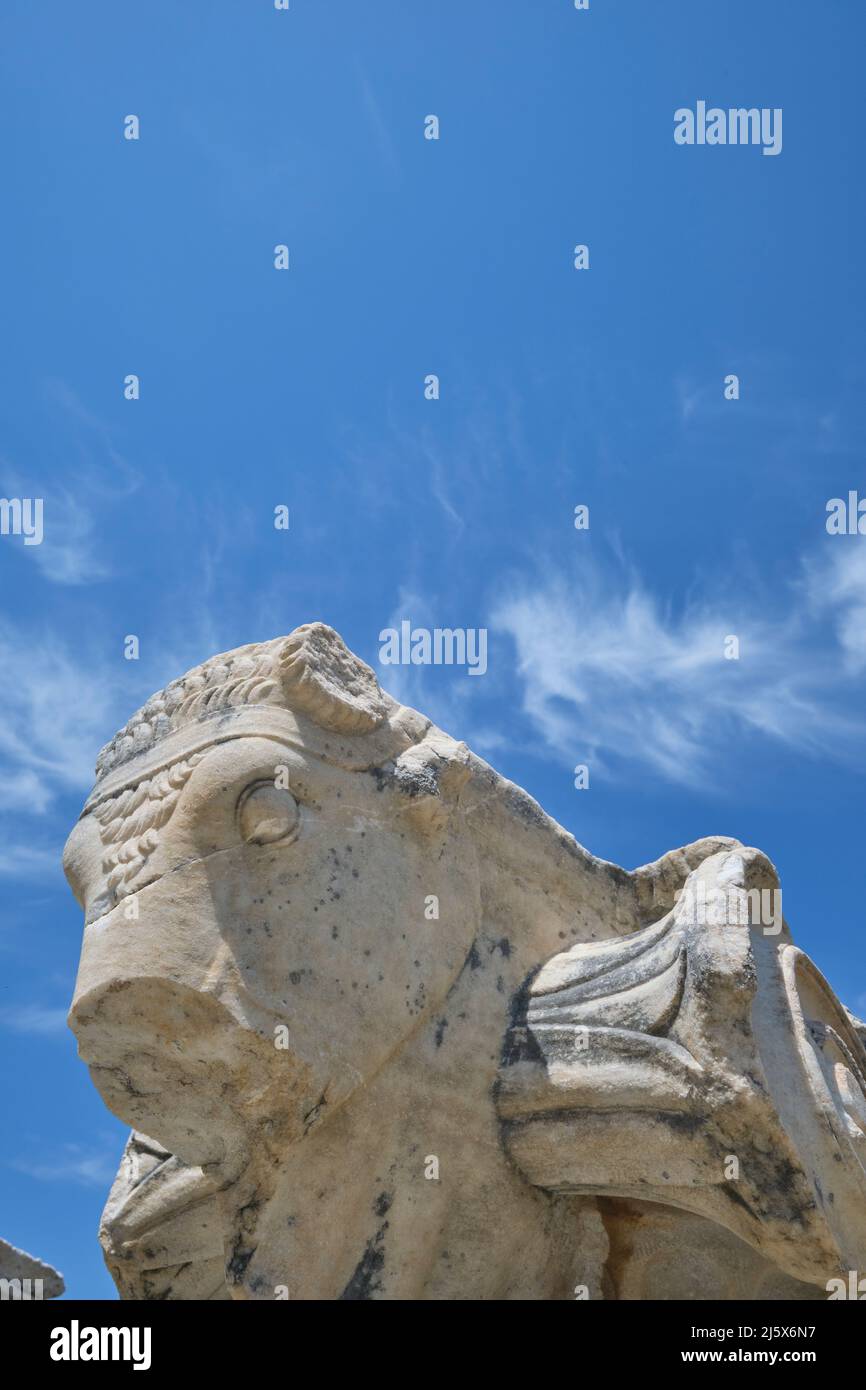 An example of one of the unique bull column cap, top marble carvings in ...