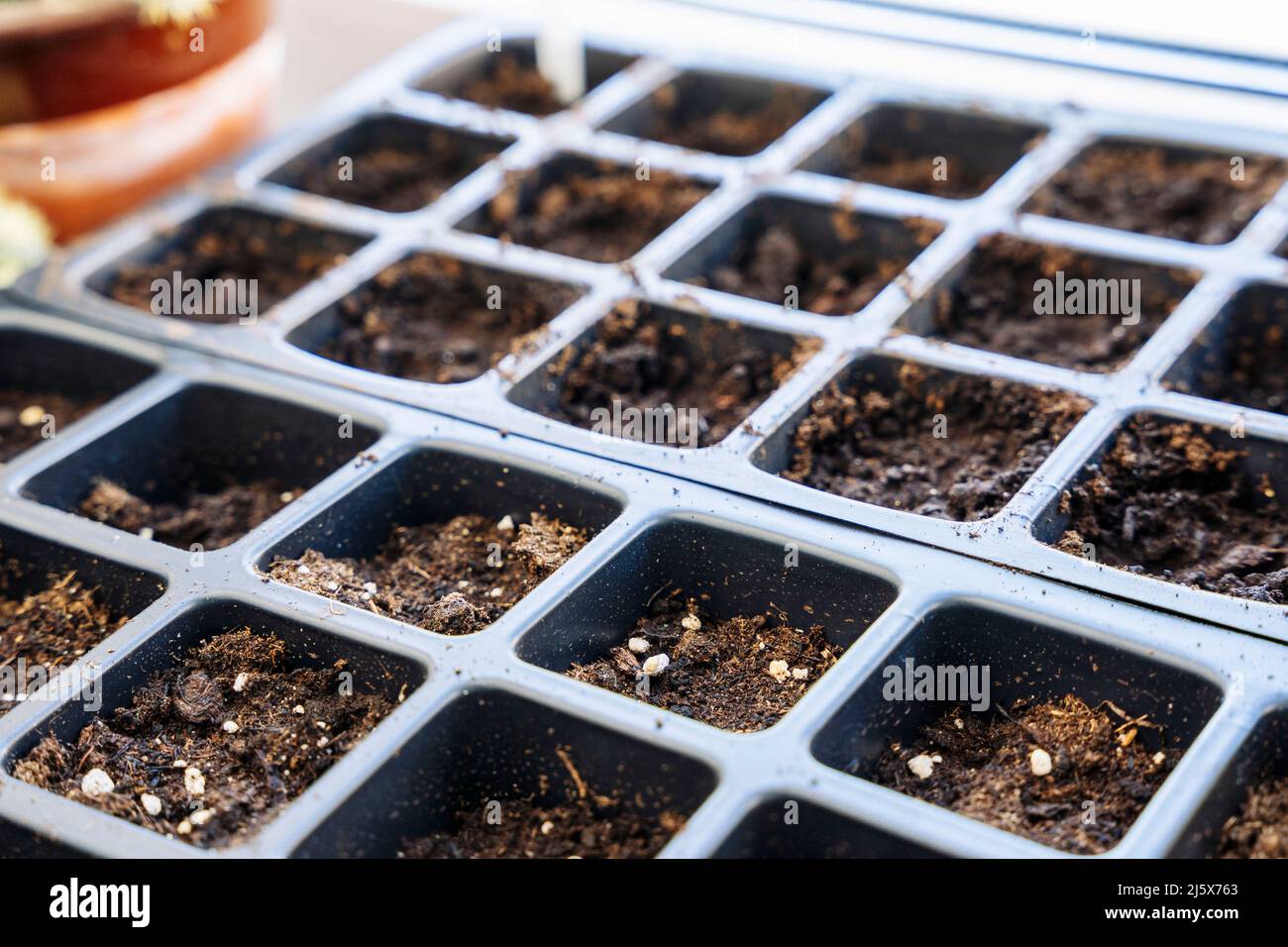 plastic cellular cassette for seedlings with soil for seed germination ...