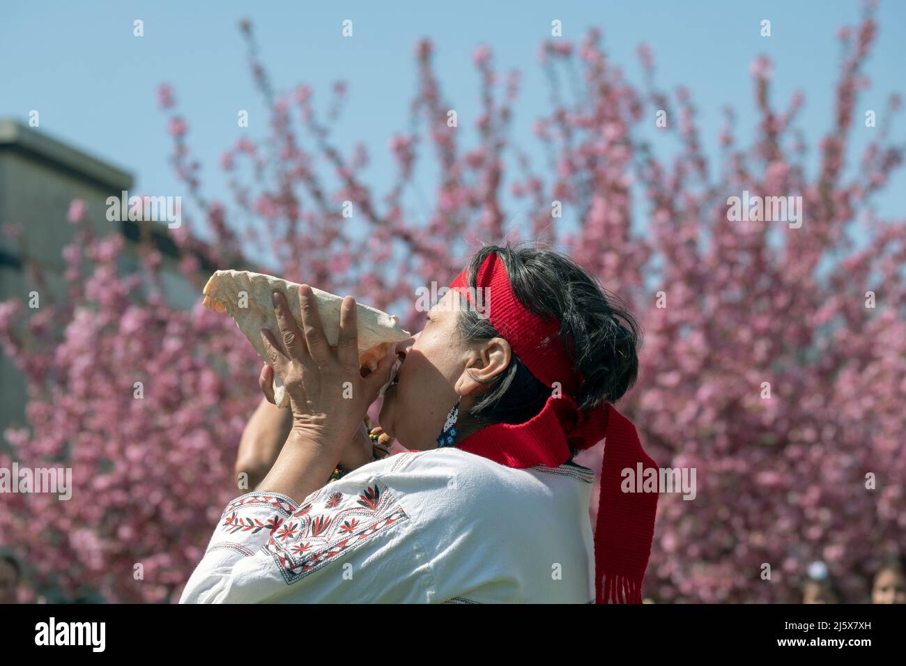 Dancers from the Calpulli Mexican Dance Group march, dance, celebrate ...