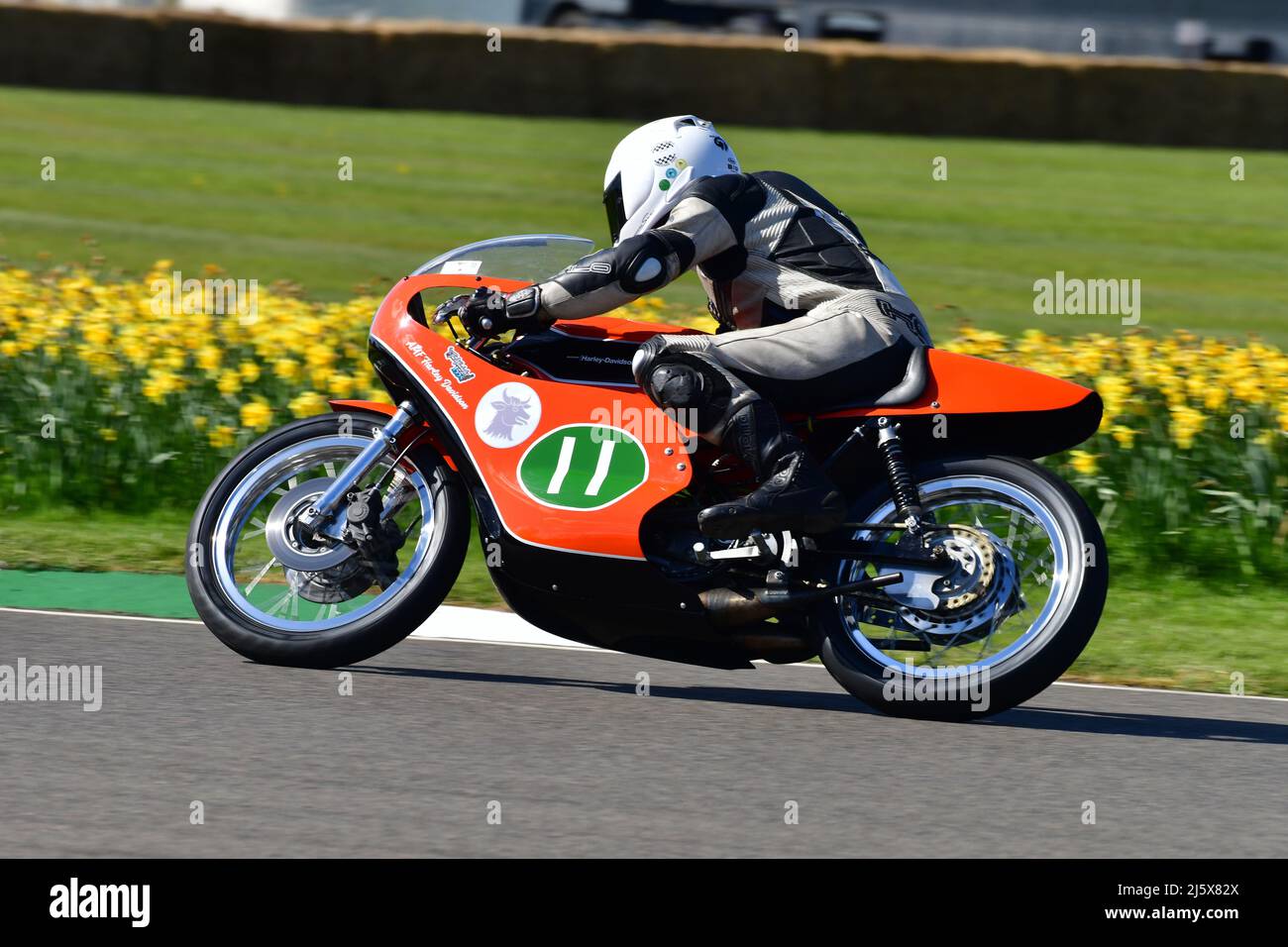 Tom Snow, Harley Davidson RR250, Hailwood Trophy for two stroke 250cc ...