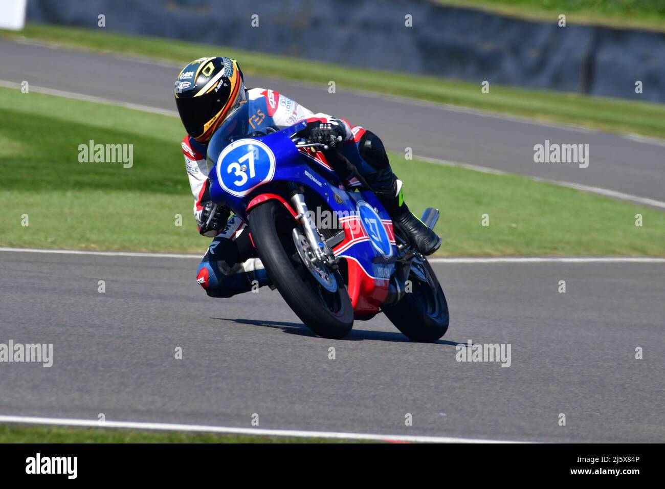 Levi Day, Yamaha TZ350G, Hailwood Trophy for two stroke 250cc and 350cc ...