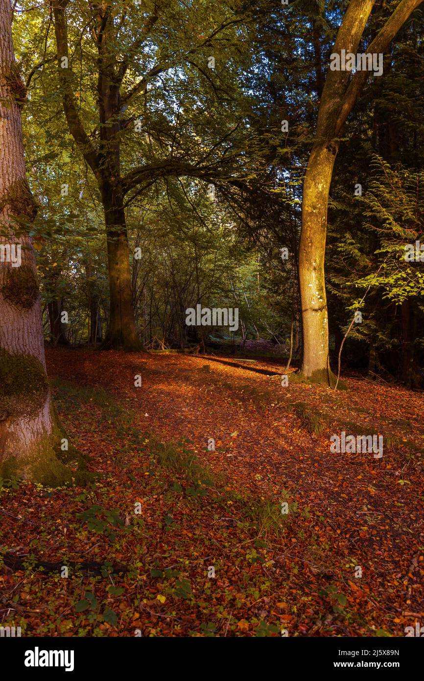 Sapperton hi-res stock photography and images - Alamy
