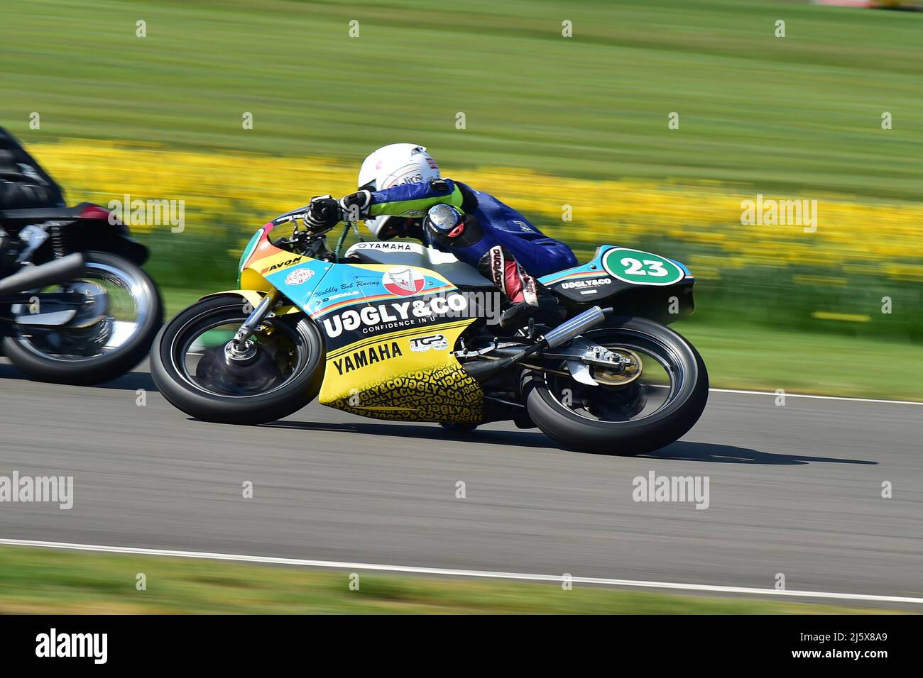 Gary Vines, Yamaha TZ250L, Hailwood Trophy for two stroke 250cc and ...