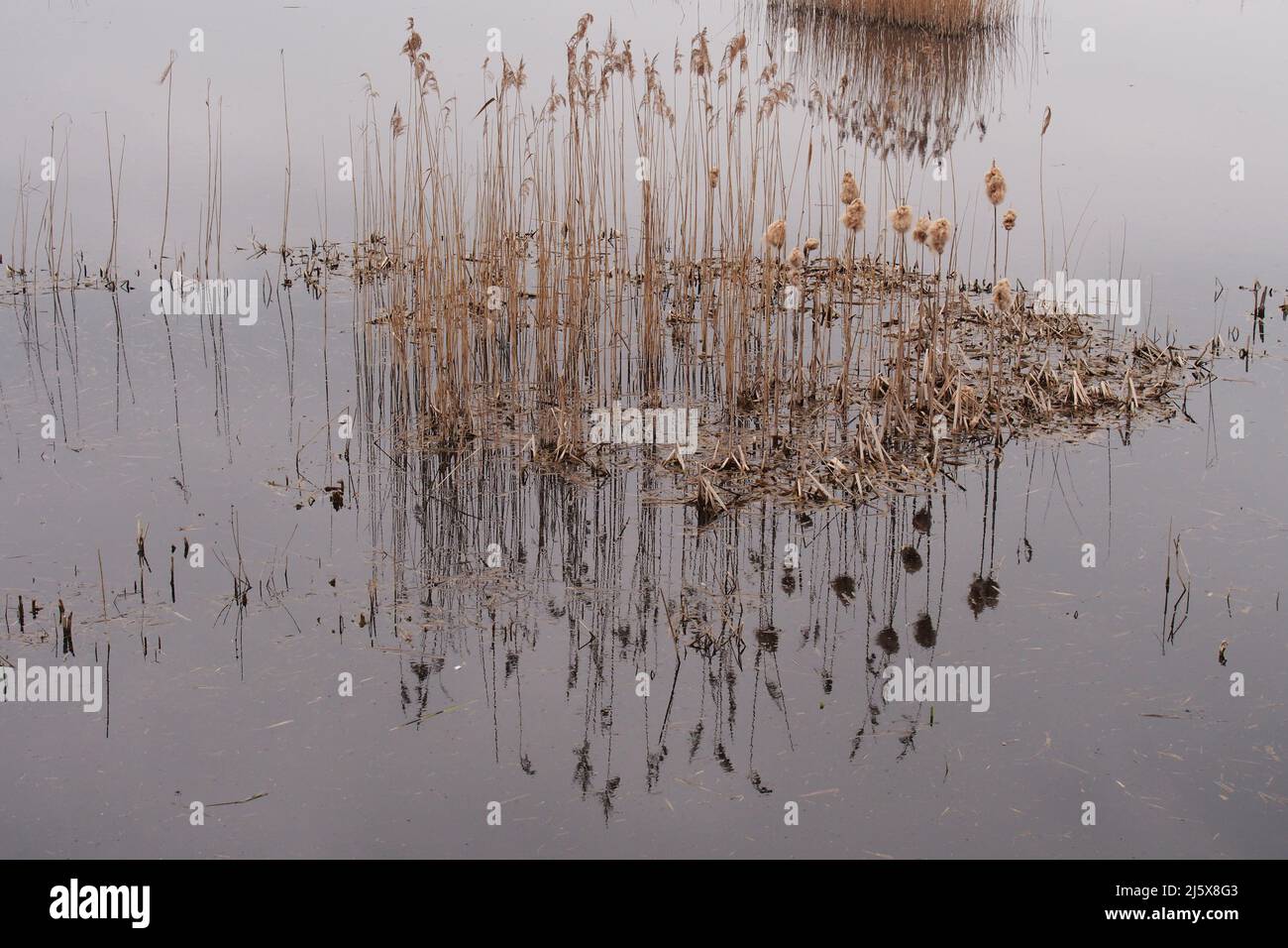 Growing out beds hi-res stock photography and images - Alamy