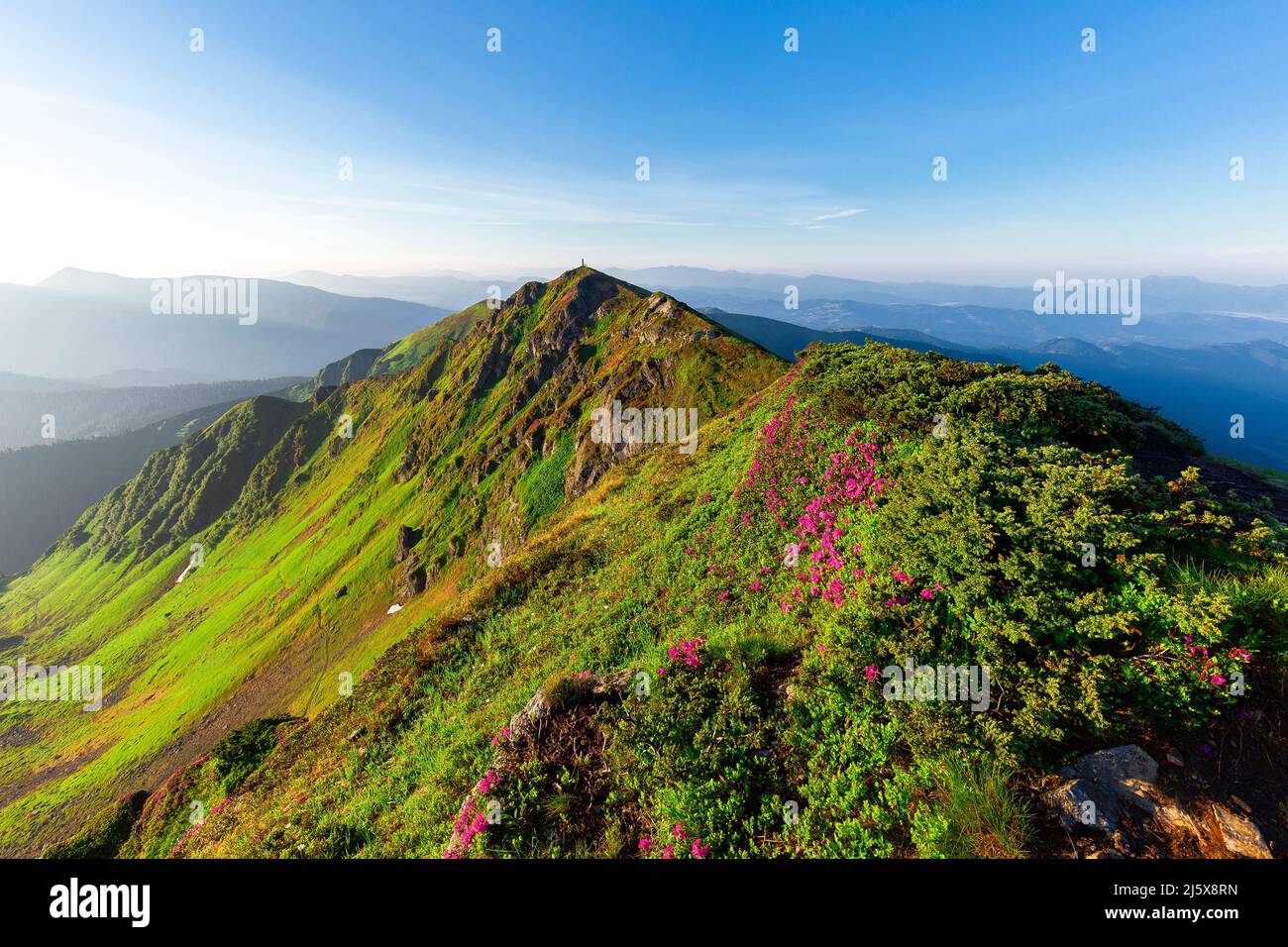 Peak pip ivan marmarosky hi-res stock photography and images - Alamy