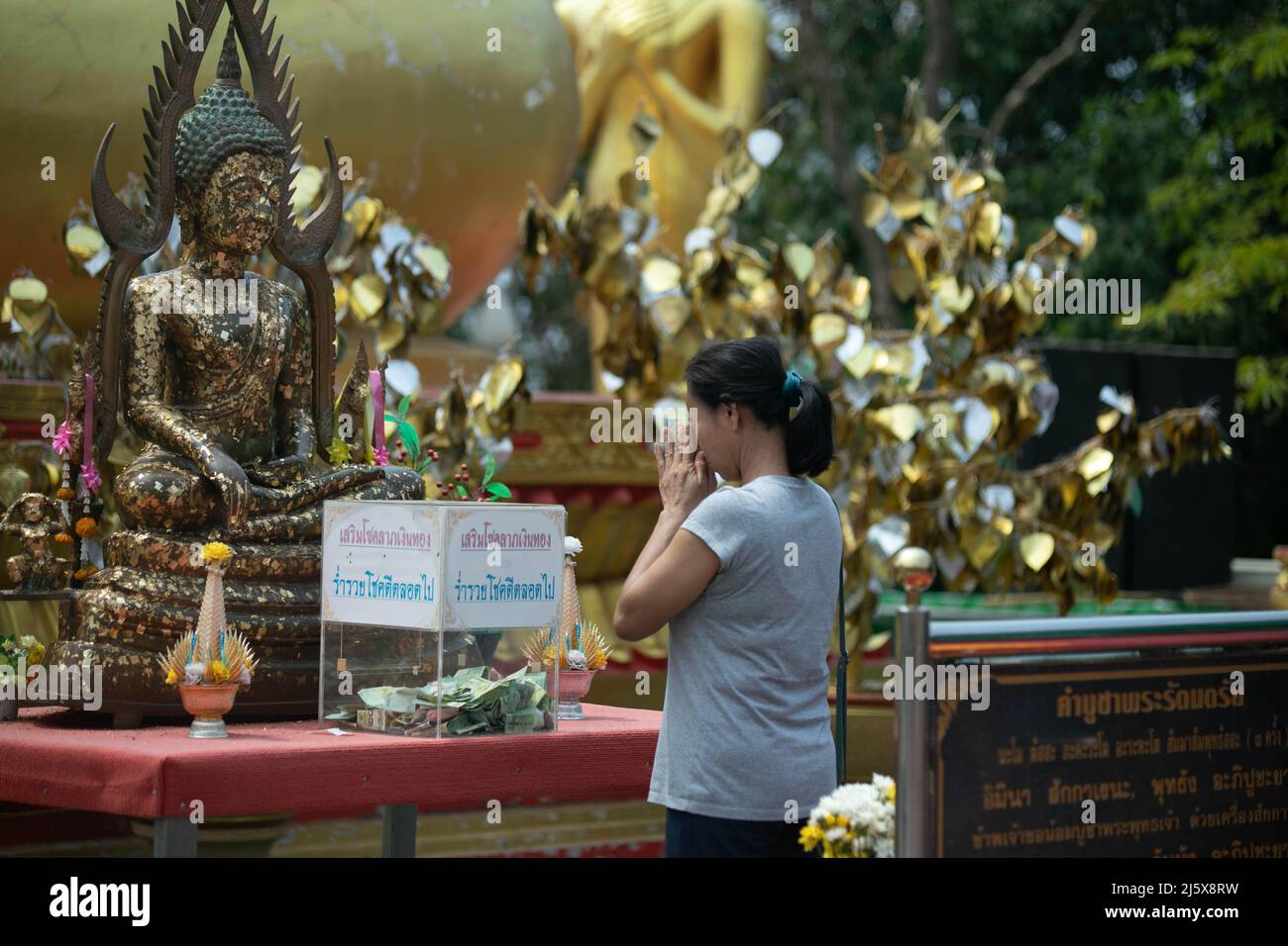 woman praying outdoor side view Stock Photo - Alamy