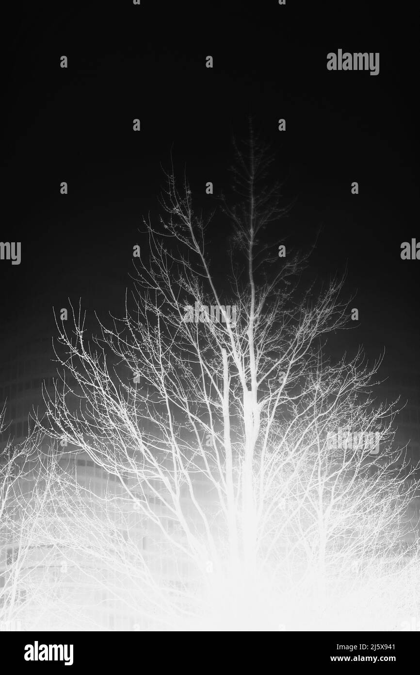 Fiery sky Black and White Stock Photos & Images - Alamy