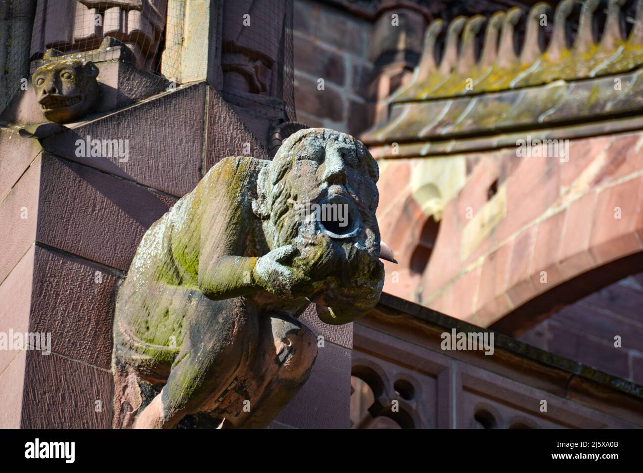 A gargoyle figure Part of the Minster in the city center of Freiburg in ...