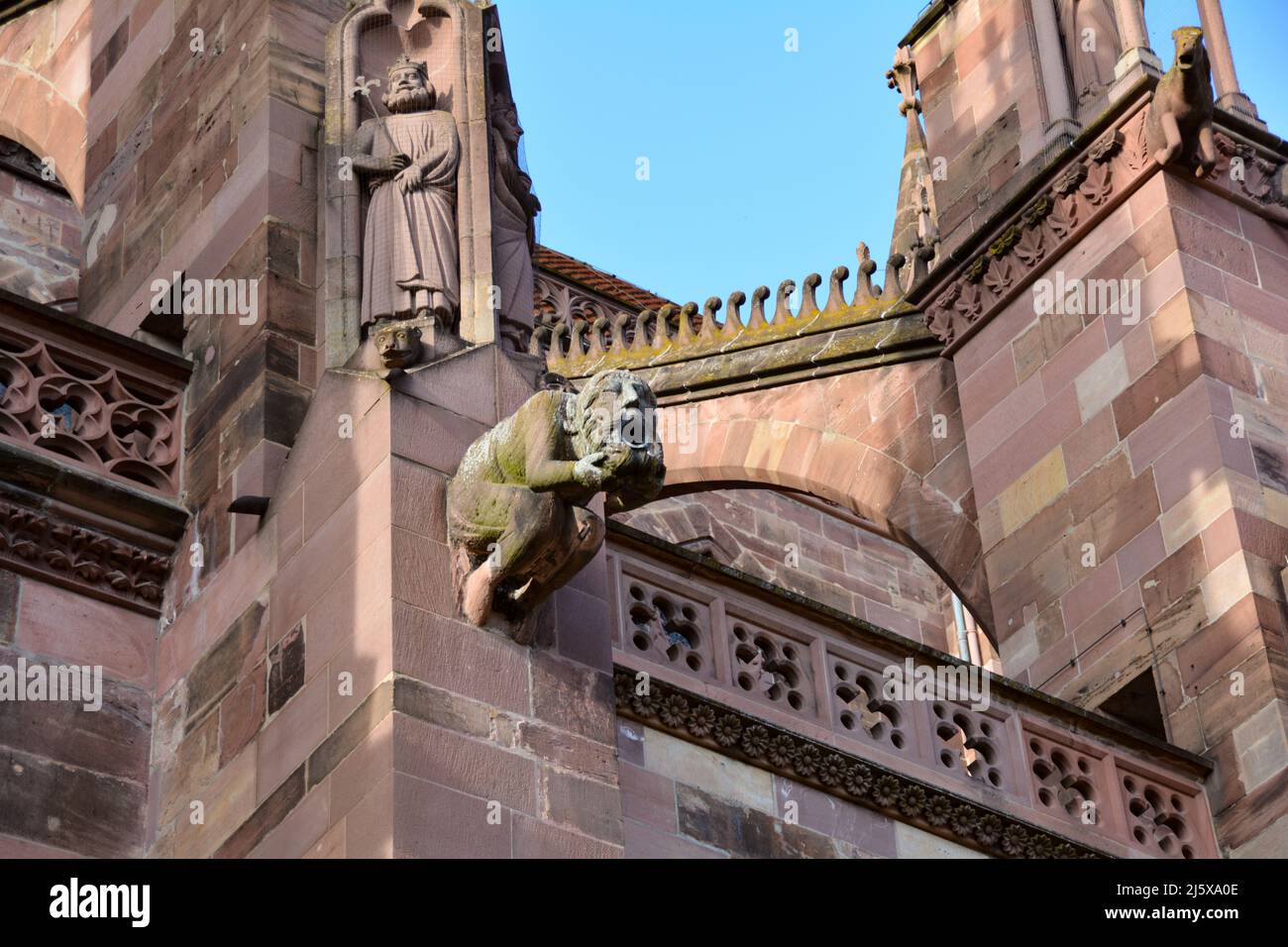 A gargoyle figure Part of the Minster in the city center of Freiburg in ...