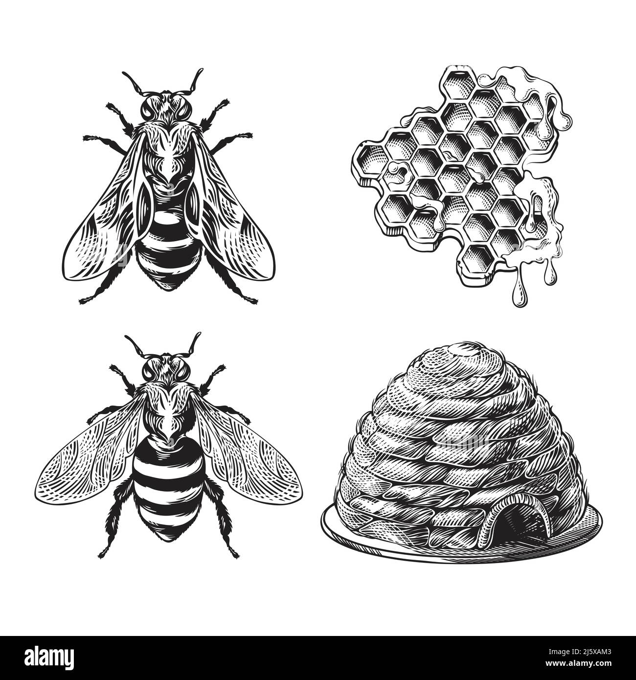 Woodcut of bee hi-res stock photography and images - Alamy