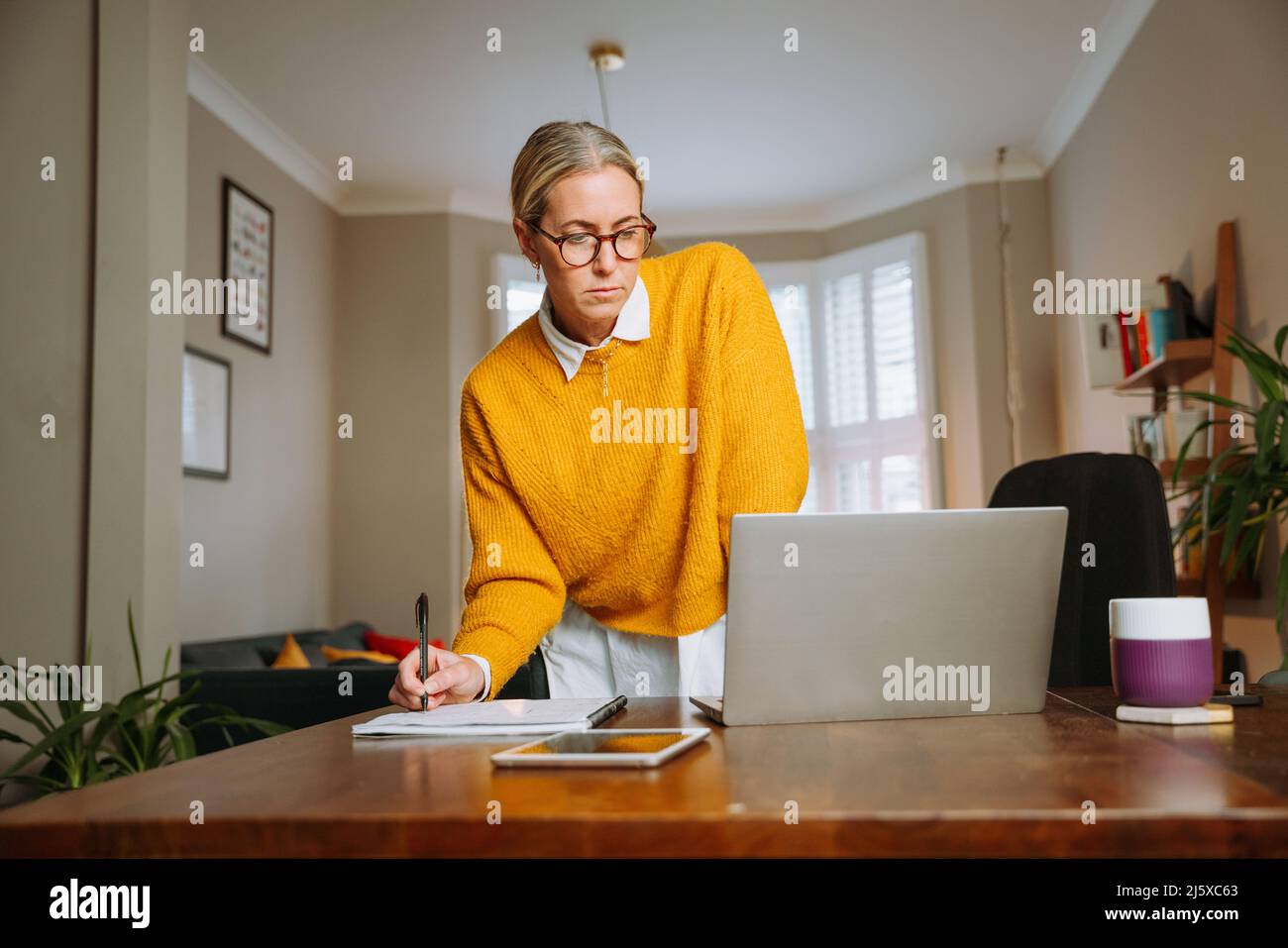 Woman cheering working laptop documents hi-res stock photography and ...