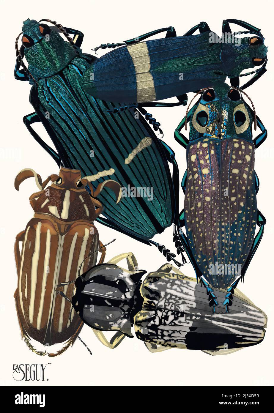 Seguy art hi-res stock photography and images - Alamy