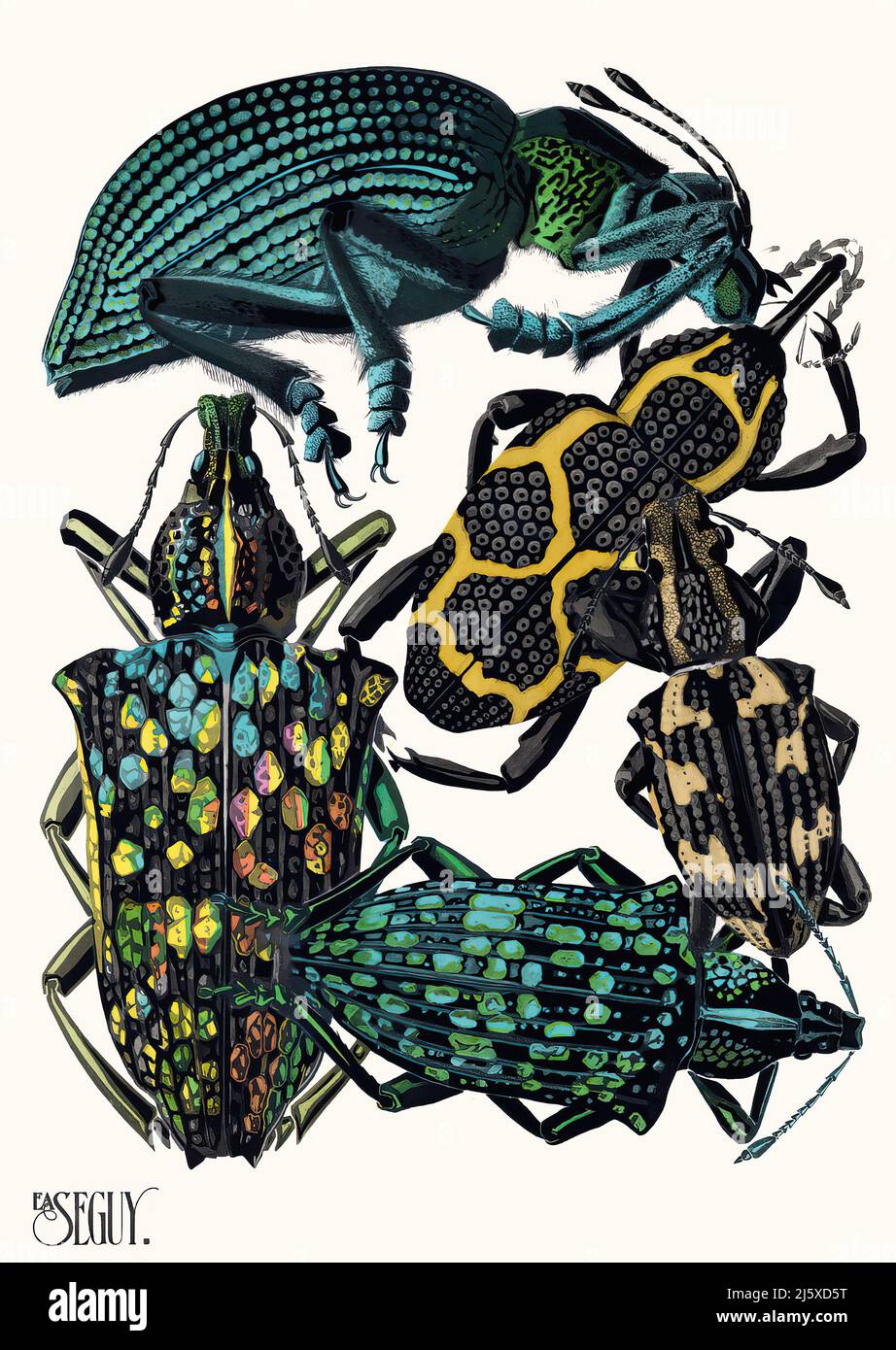 Seguy art hi-res stock photography and images - Alamy