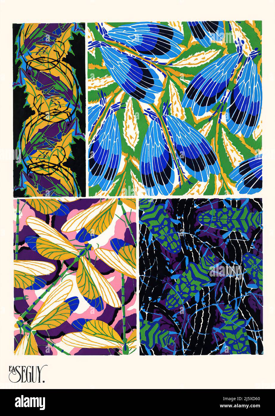 Art by Emile-Allain Séguy - Insectes Plate 9 (1929 Stock Photo - Alamy