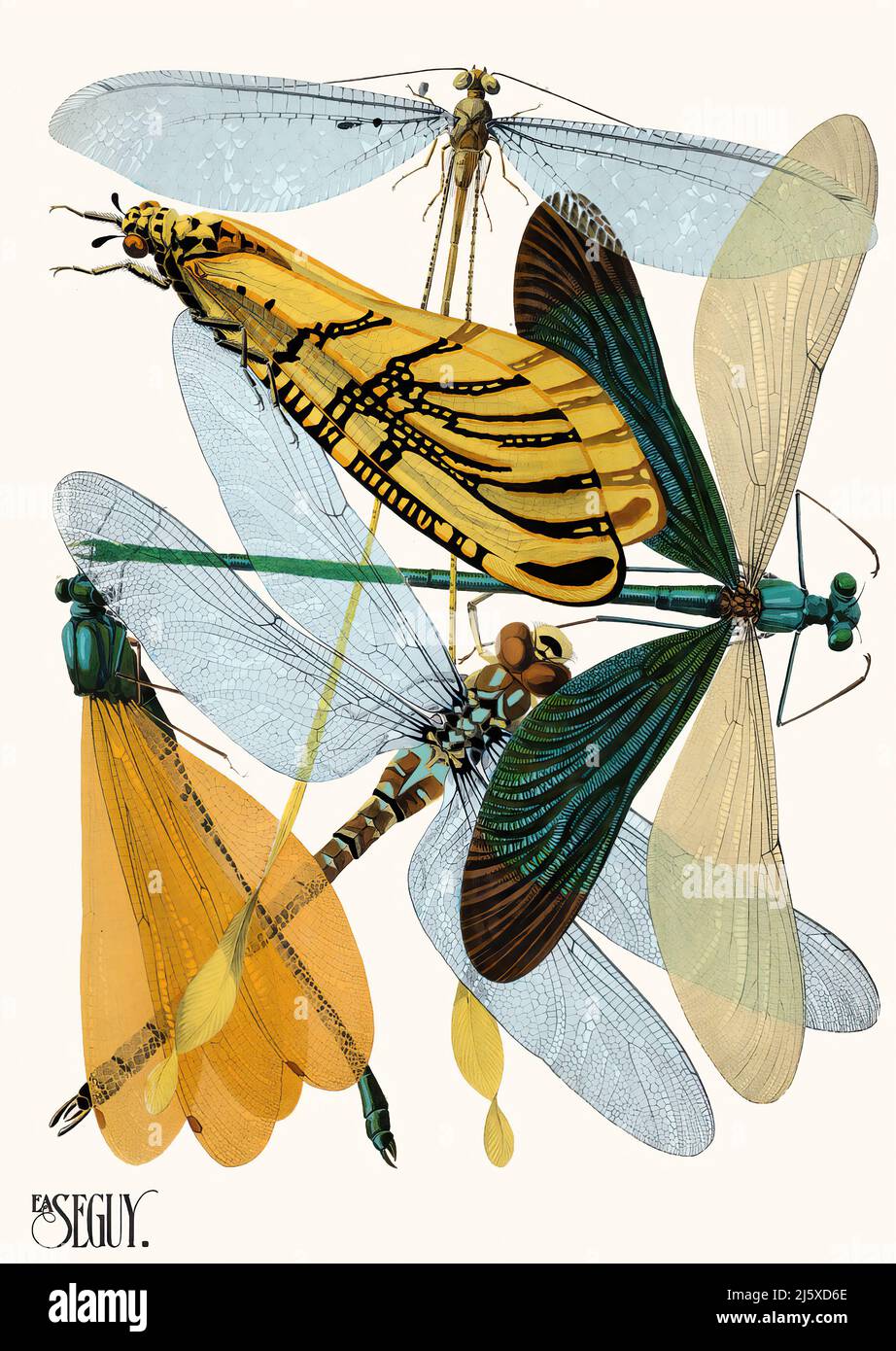 Seguy art hi-res stock photography and images - Alamy