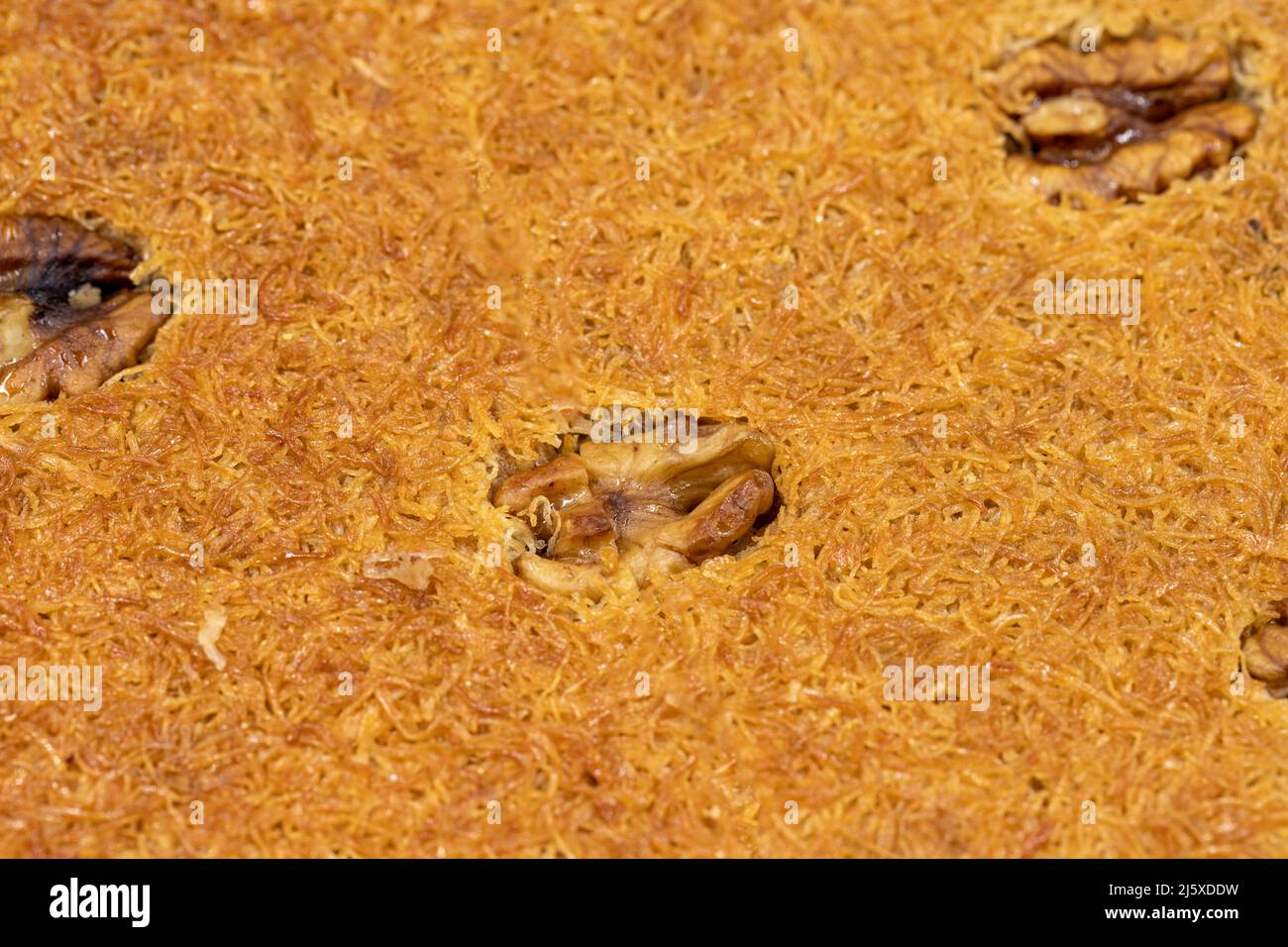 Walnut kadayif. Kadayif dessert in a close-up tray. local name cevizli ...