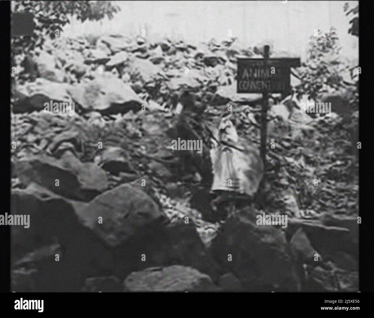 Alice in Wonderland 1915 vintage movie still Stock Photo - Alamy
