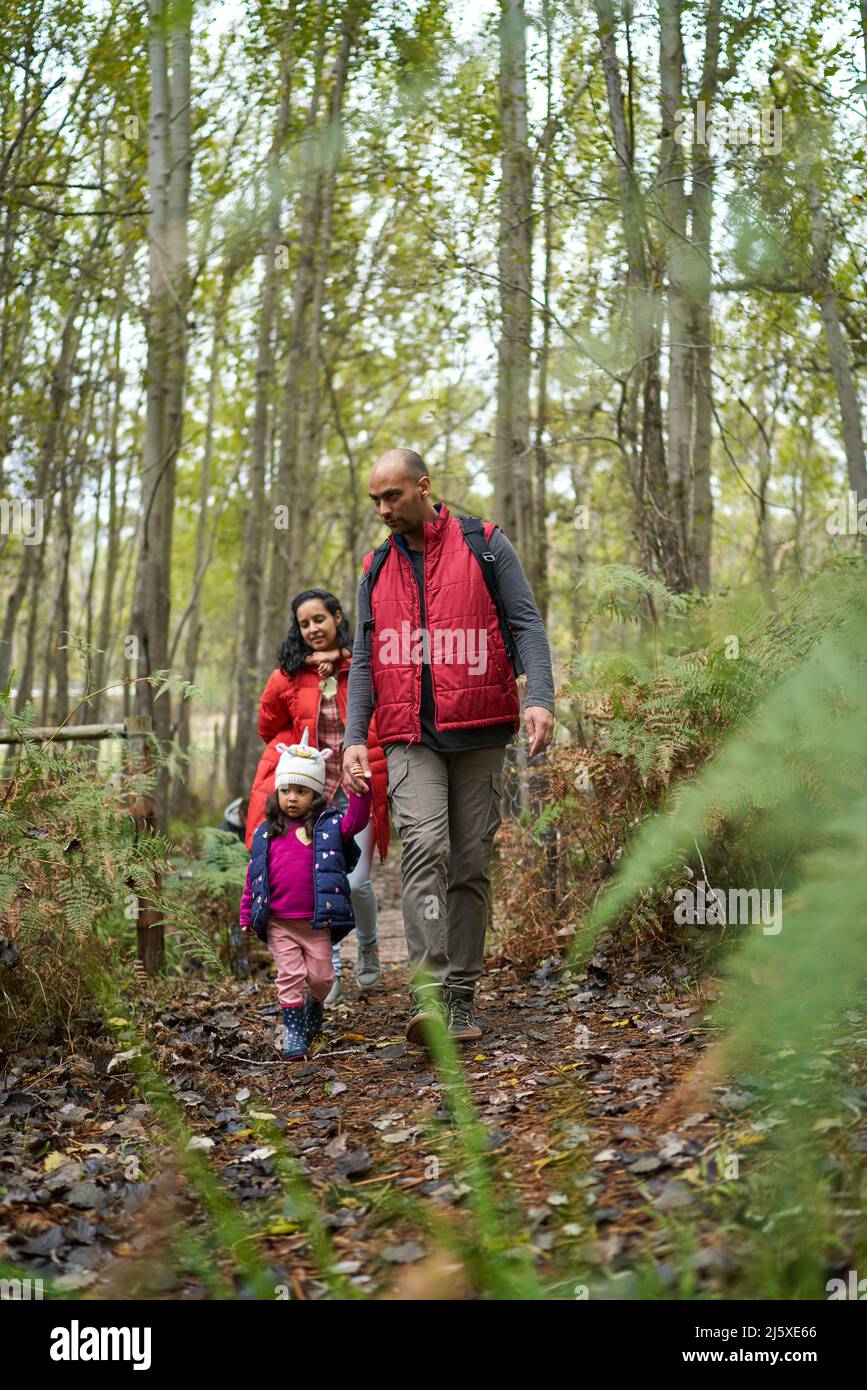 Family hiking in woods Stock Photo - Alamy