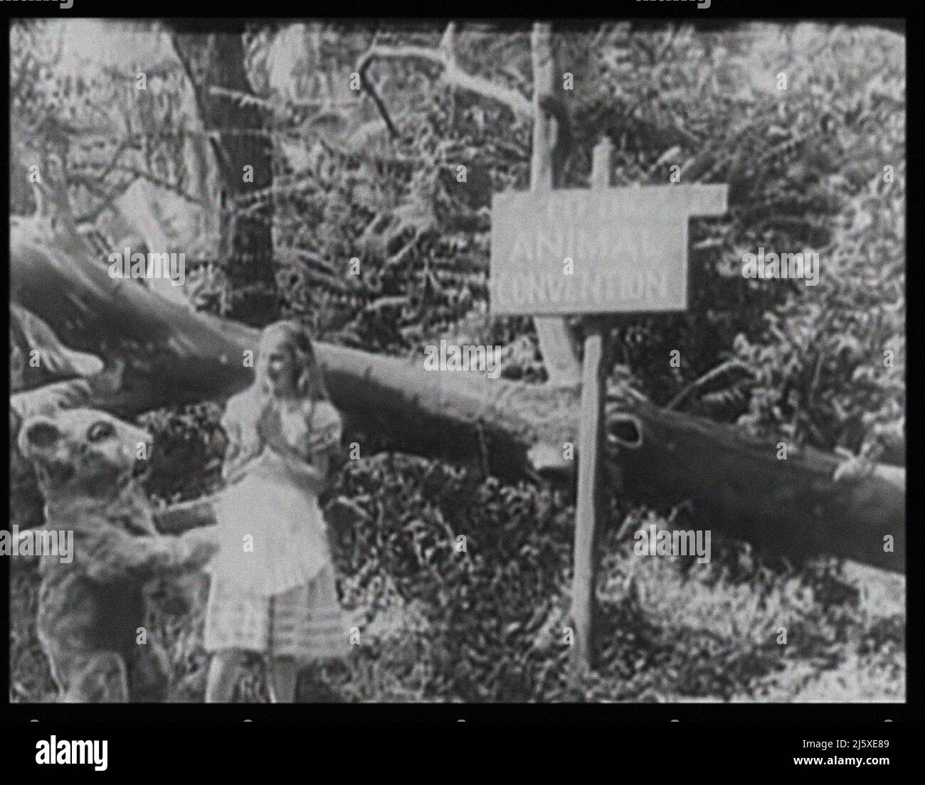 Alice in Wonderland 1915 vintage movie still Stock Photo - Alamy