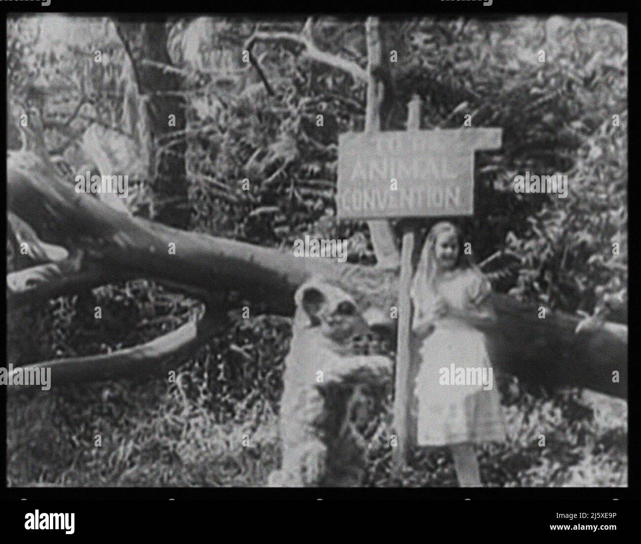 Alice in Wonderland 1915 vintage movie still Stock Photo - Alamy