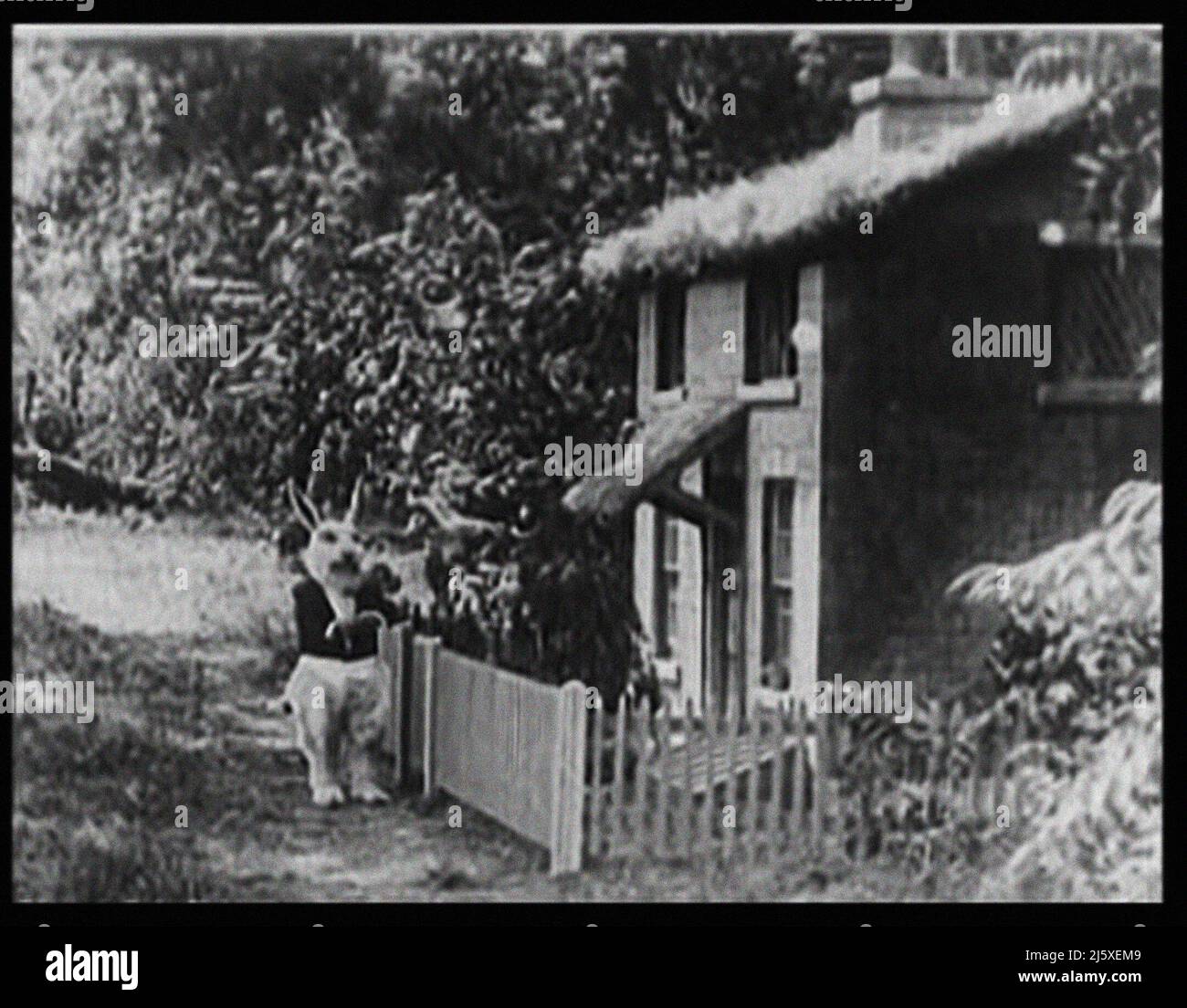 Alice in Wonderland 1915 vintage movie still Stock Photo - Alamy