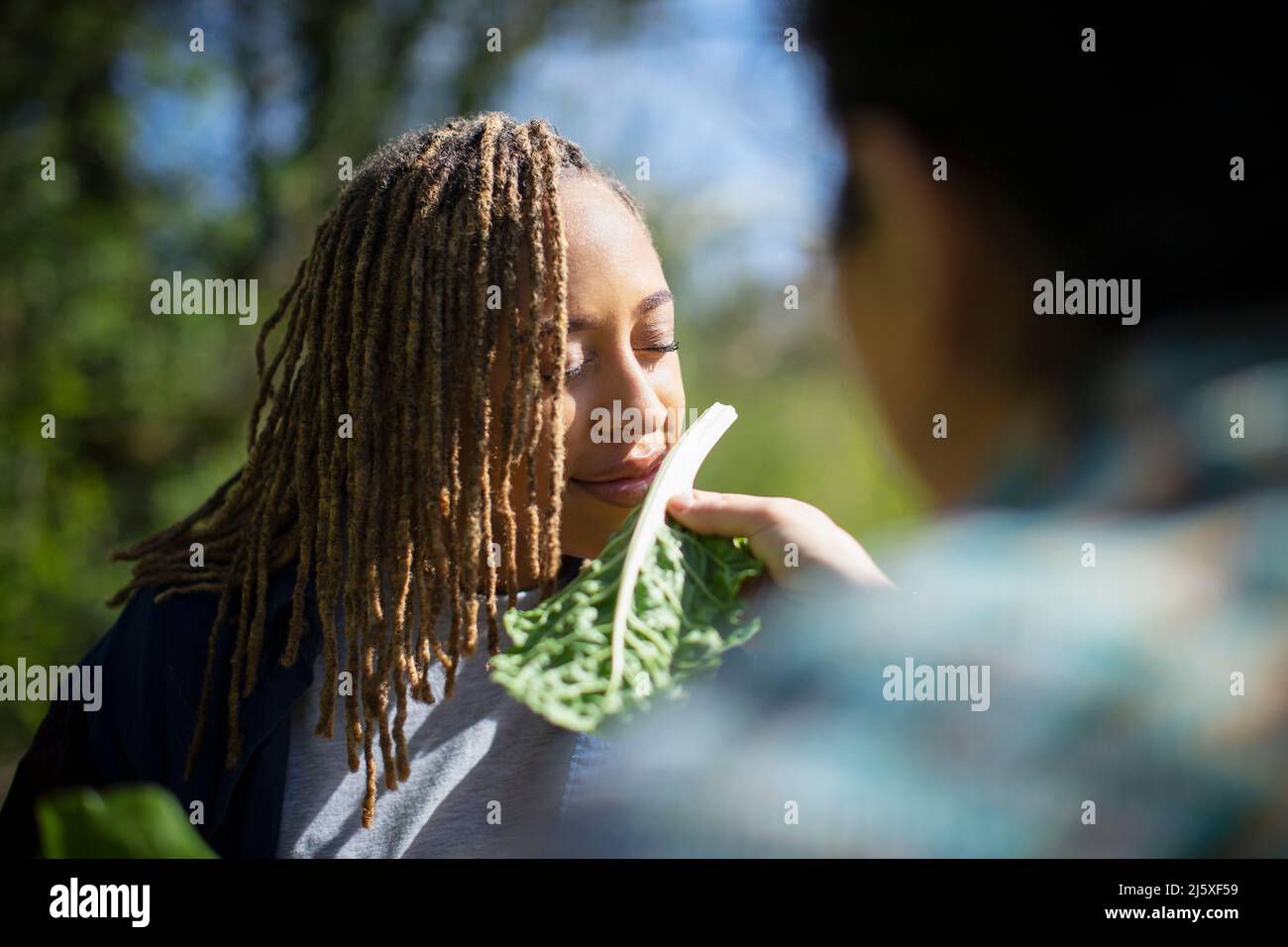 Young woman smelling fresh harvested vegetable in garden Stock Photo ...